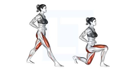 Standing Quadriceps Stretch Guide Benefits And Form