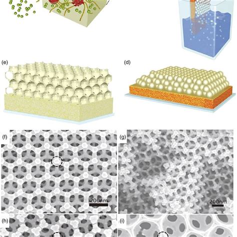 Schematic Of Double Layer Assembly A A Solution Of Pi‐b‐peo Copolymer Download Scientific
