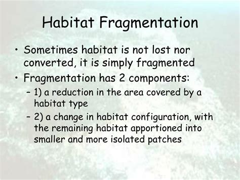 Ppt Habitat Fragmentation Powerpoint Presentation Free Download Id 340168