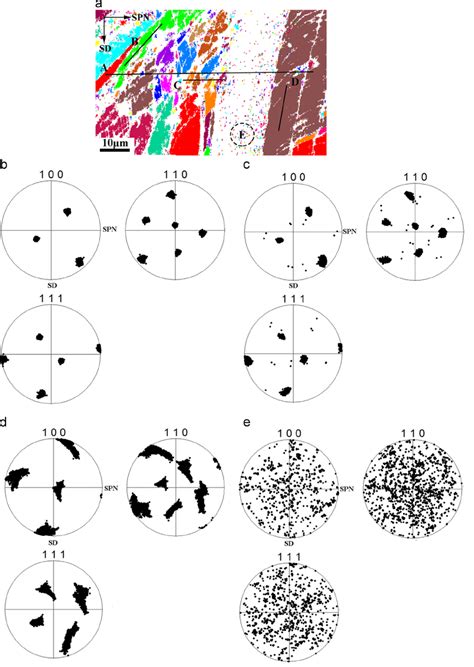 Shear Banding Microstructure At Mia Hartnett Blog