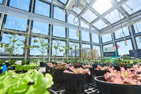 Products Clearvue Pv