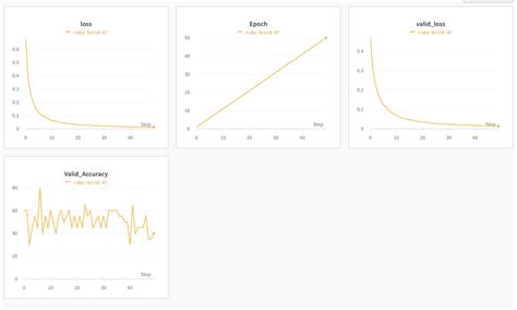 Sanity Check Validation Loss Not Increasing Vision Pytorch Forums