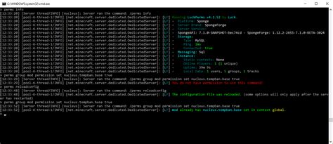 Console Does Not Have Permissions To Use Command SpongeForge Issue LuckPerms
