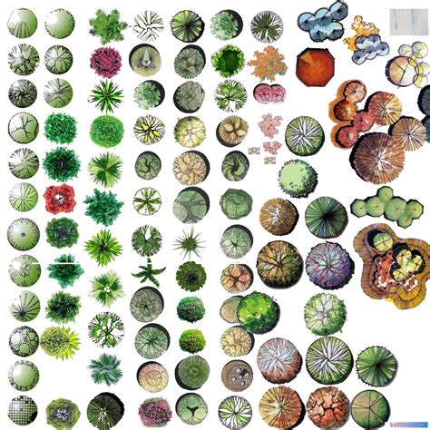 Trees Plan View PSD Images Photoshop Trees Plan View Photoshop Trees Plan View And