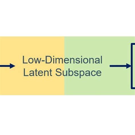 Schematic Of The Dimensionality Reduction Procedure The Projection Is