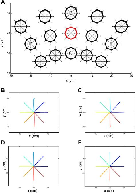 Figure 1 From Motor Adaptation And Generalization Of Reaching Movements Using Motor Primitives
