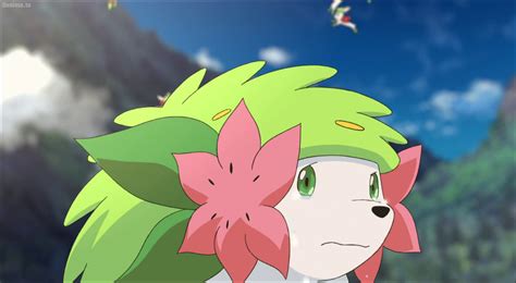 Pokémon Movie Review The Shaymin Movie Staircase Spirit