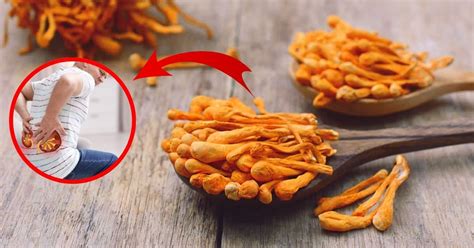 6 Powerful Homemade Bug Sprays That Actually Work And Smell Better Than