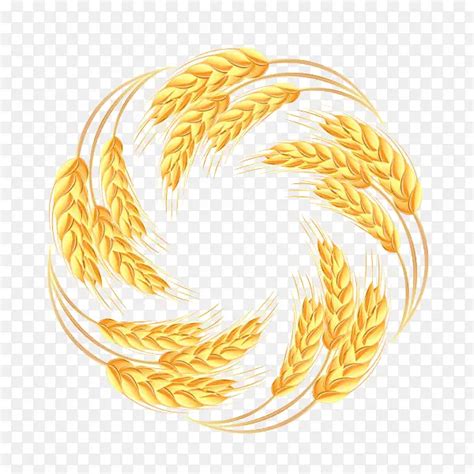 麦子PNG图片素材下载 图片编号qrwvowry 免抠素材网