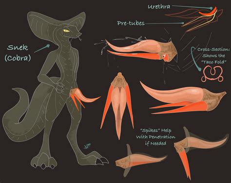 Rule 34 Absurd Res Anthro Bodily Fluids Claws Cobra Cross Section Cum
