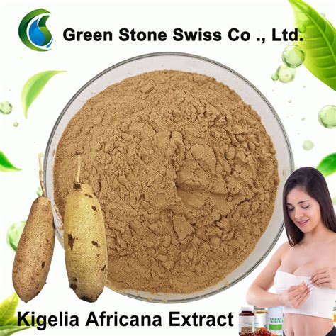 Kigelia Africana Extract Buy Online Price For Sale Manufacturer From Green Stone