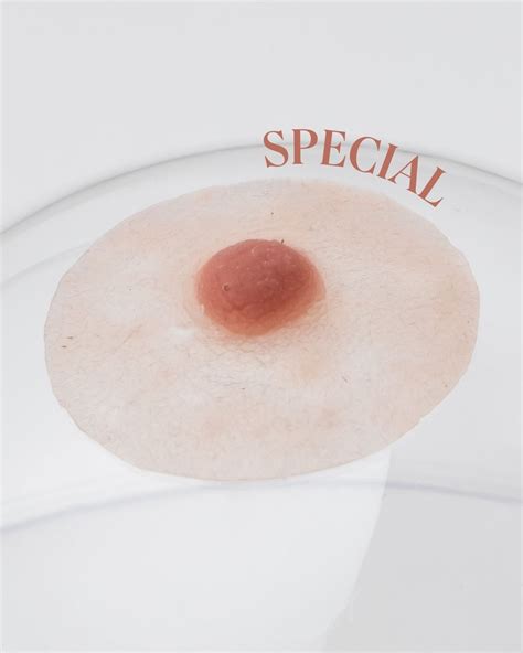 Pink Perfect Prosthetic Nipples In Soft Pink