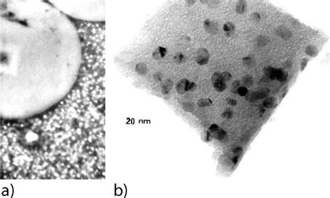 7 A Scanning Electron Micrograph Sem Of A Mullite Matrix Cmc