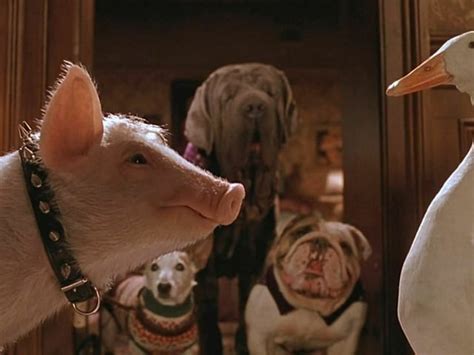 Thoughts On The Movie Babe 1995 R 90s