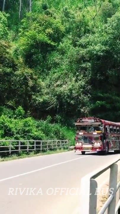 ඩගී අයියාගේ අතේ නැලවෙන මායා කිරිල්ලී 💖එක්ක නුවරඑළියේ යන ගමන් කොහොමද පාස් එනහ් 😍🎶modified Bus