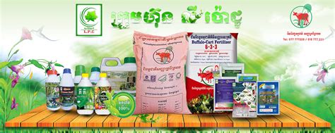 ជ ជីសរីរាង្គធម្មជាតិ សញ្ញាក្របីក្រហម ក្រុមហ៊ុន លី ប៉ោជូ