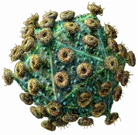 Aids Virus Under Microscope
