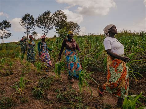The Challenge And Ethics Of Peace Photography Picturing Peace In The