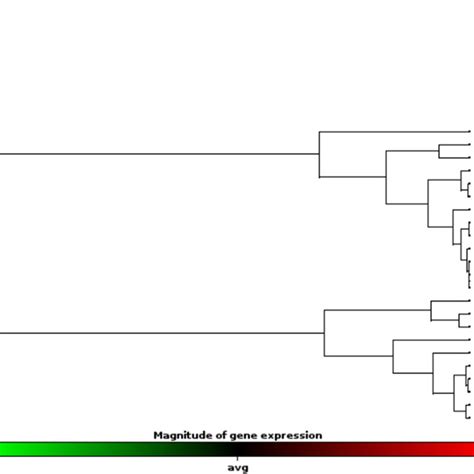 Clustergram Of Degs In Caco 2 Cells The Genes Were Clustered Using Download Scientific Diagram