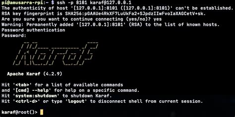raspberry pi how to run apache karaf 4 2 docker container