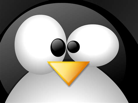 Causes Of Corruption In The Linux Block Group Descriptor Savage Nomads