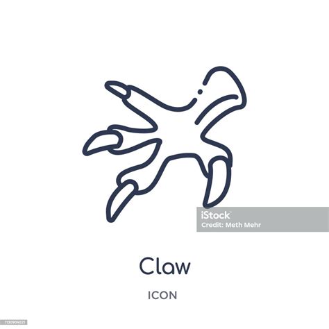 아시안 아웃 라인 컬렉션의 리니어 클로 아이콘 얇은 라인 발톱 벡터 흰색 배경에 고립입니다 발톱 유행 그림 갈고리 발톱에 대한 스톡 벡터 아트 및 기타 이미지 Istock