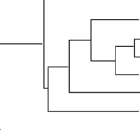 Dendrogram Showing The Genetic Relationship Among 8 Species Of Download Scientific Diagram