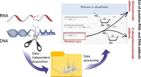 使用单一数据独立采集质谱分析同时进行 Rna 和 Dna 加合物组学分析 Chemical Research In Toxicology X Mol