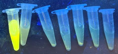 Gallery Enzyme Lab ZJU