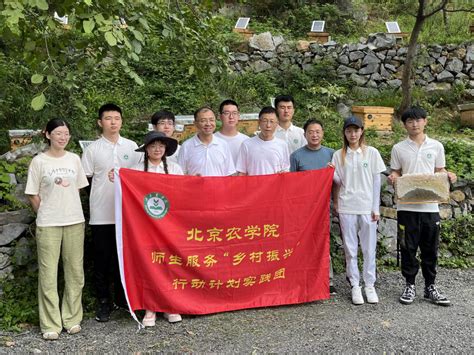 服务乡村振兴进行时 北农智慧蜂场助力农民生活甜如蜜 欢迎访问北京农学院学校新闻网