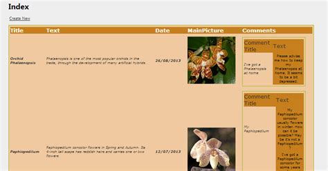 The Aspnet Mvc Club Step By Step How To Create A Nested Webgrid In