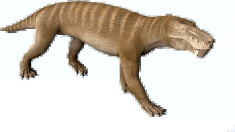 Gorgonopsid Size