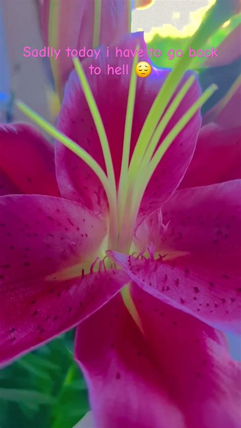 School 💀 School Sad Youtube