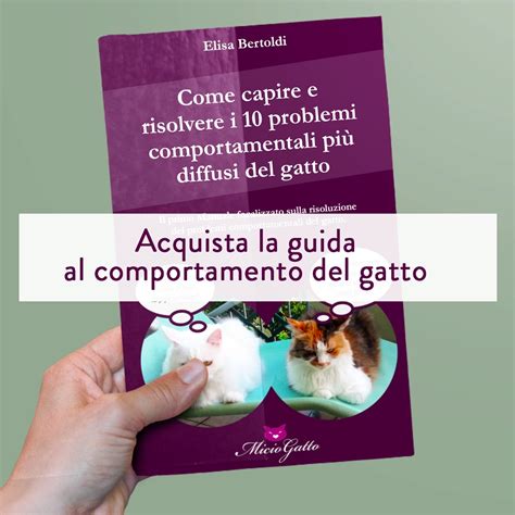 Catnip Effetti Sui Gatti E Cosè Veramente Miciogatto