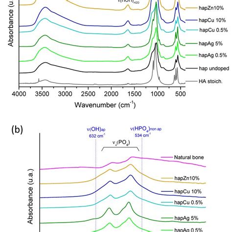 A Ftir Spectra Of The Selected Precipitated Biomimetic Apatite Download Scientific Diagram