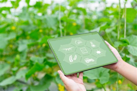 Internet Das Coisas Iot Com Conceito De Agricultura Inteligente A