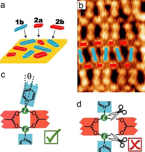 Distorted Rectangular Coordination Network Exhibiting Structural Error Download Scientific
