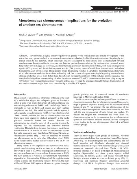 PDF Monotreme Sex Chromosomes Implications For The Evolution Of Amniote Sex Chromosomes