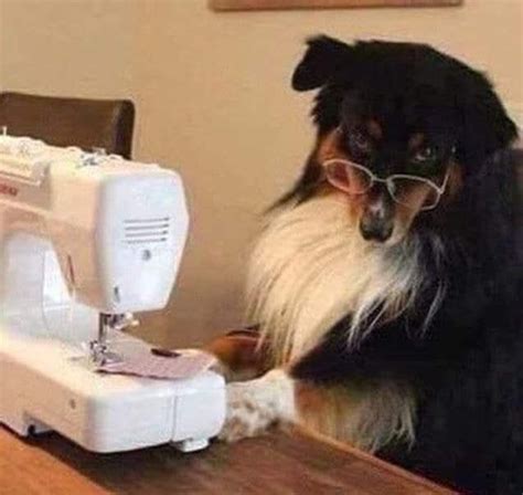 Best 13 Buzzfeed S List Of 14 Times You Silently Judge People 6 When Someone Uploads A Selfie