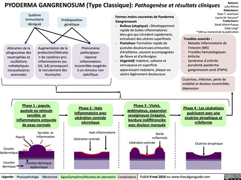Pyoderma Gangrenosum Type Classique Pathogenèse Et Résultats