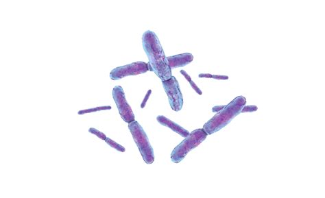 Ingredients Prowise Healthcare