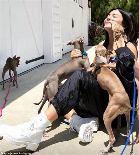 Kylie Jenner Smothered With Affection By Her Dogs Outside La Mansion