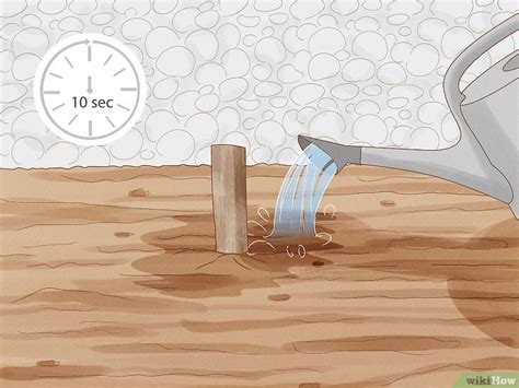 How To Prune Yucca Plants Simple Grooming Tips