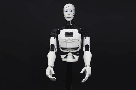 Ez Inmoov Humanoid Robot Hardware Kit