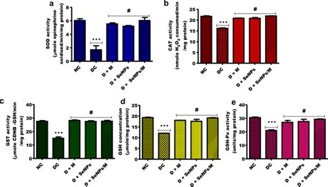 Antioxidant Parameters Of Different Experimental Groups At The End Of