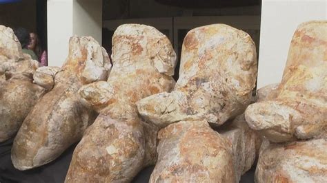 Chinese Scientists Unveil 300 000 Year Old Hominid Skull Unlike Any Other Ever Found Sciences