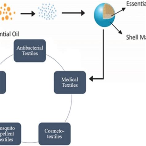 The Process Of Encapsulation Of Essential Oil In Chitosan—a Model System Download Scientific