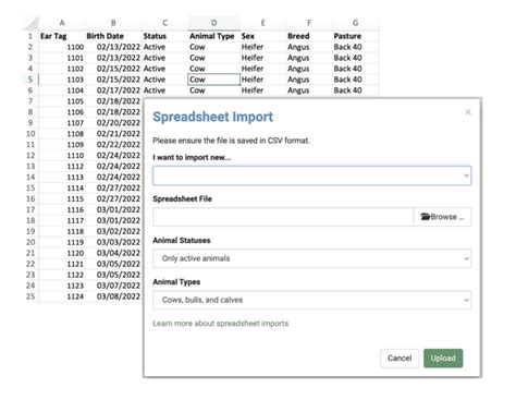 Spreadsheet Import Tool Cattlemax