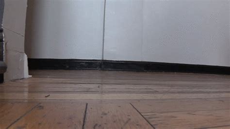 Giantess Jacquelyns Conquest Giantess Foot Fetish Pov Mp4