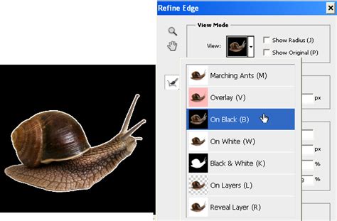Get Rid Of Those Pesky Edge Halos In Photoshop — Sitepoint